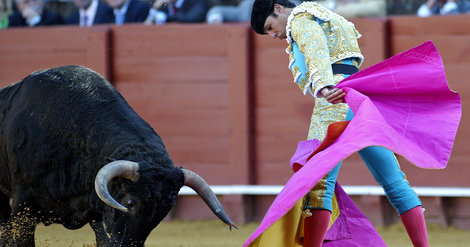 Inside the Francisco and Cayetano Rivera Ordóñez Lawsuit - Air Mail