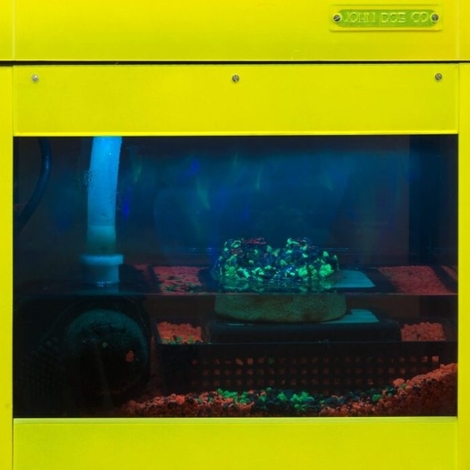 Lucy Horowitz Latest Articles - Air Mail