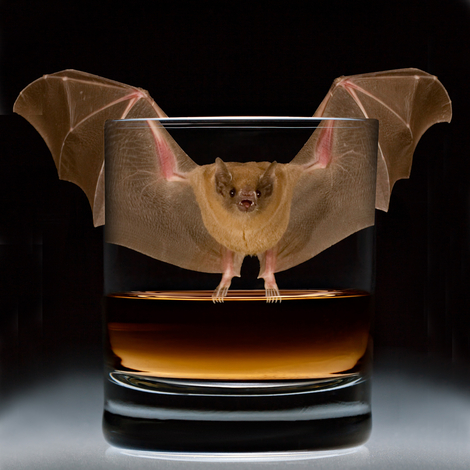 Mark Ellwood Latest Articles - Air Mail