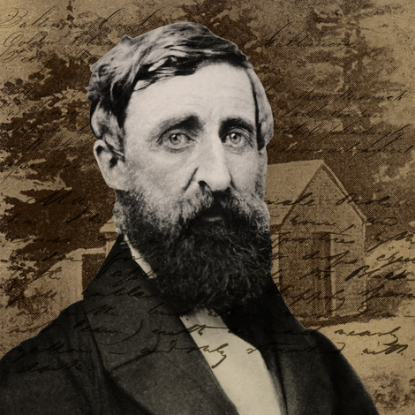 Cullen Murphy Latest Articles - Air Mail