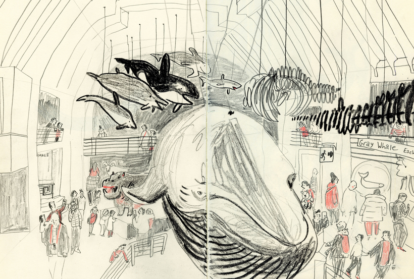 London’s Natural History Museum: Ruby Wright's Sketchbook - Air Mail