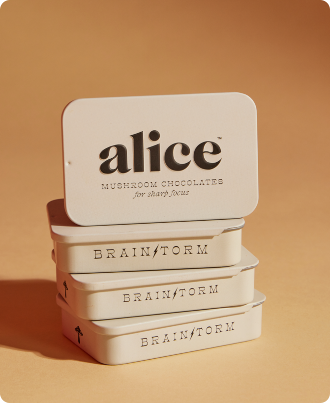 Alice Brainstorm Mushroom Chocolates at Air Supply
