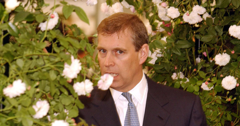 Randy Andy Goes Postal | March 23, 2024 - Air Mail