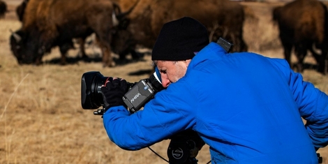 Ken Burns's "The American Buffalo" Streaming on PBS: Arts Intel Report
