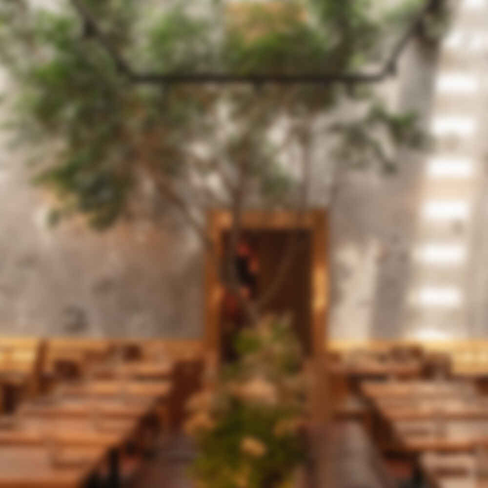 Máximo Bistrot Restaurant in Mexico City: Arts Intel Report