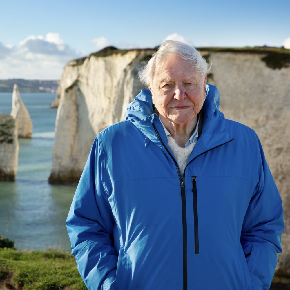 "David Attenborough: Ocean" Showing in Theaters: Arts Intel Report