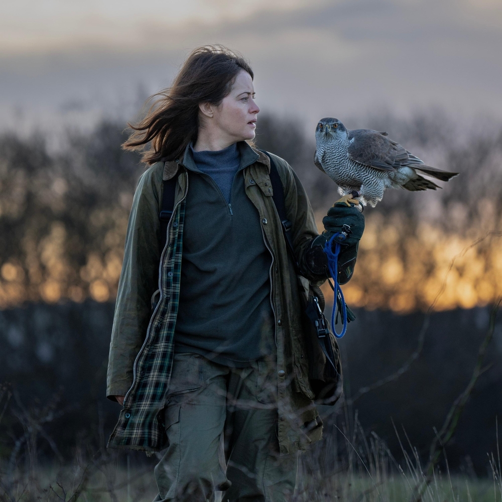 "H is for Hawk" Arrives in Theaters: Arts Intel Report