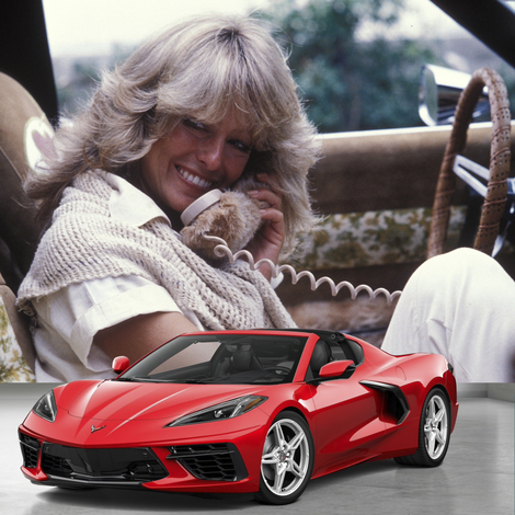 Jamie Kitman Latest Articles - Air Mail