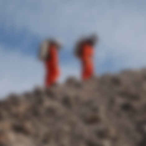 Barbara Pollack Latest Articles - Air Mail