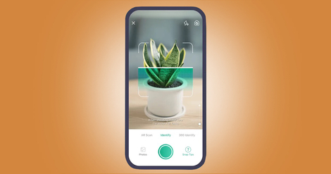 PictureThis App: Recommended - Air Mail