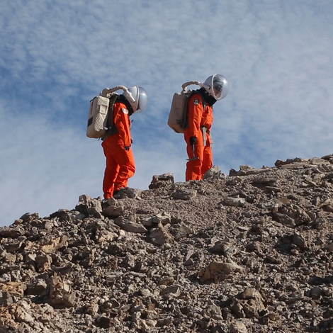 Barbara Pollack Latest Articles - Air Mail