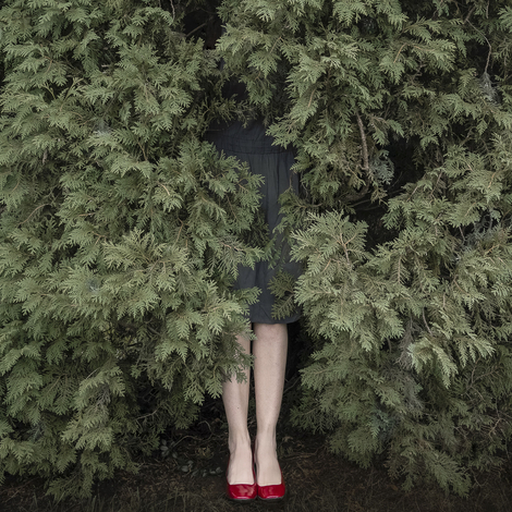 Will Pavia Latest Articles - Air Mail