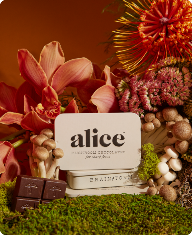 Alice Brainstorm Mushroom Chocolates at Air Supply