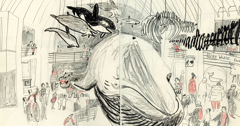 London’s Natural History Museum: Ruby Wright's Sketchbook - Air Mail