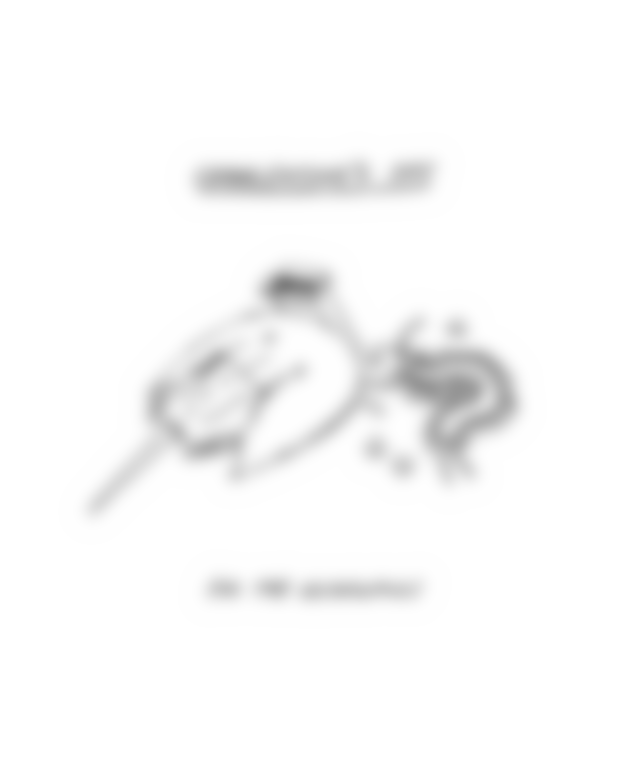 February 2, 2024 – Air Mail Look