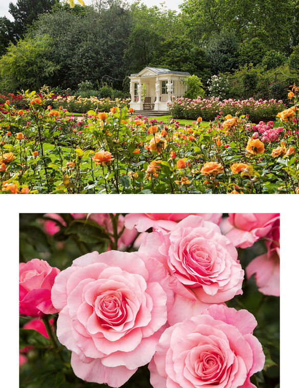 Buckingham Palace's Royal Garden: Photos - Air Mail