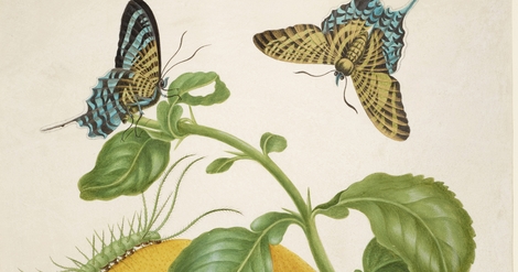 Crawly Creatures at the Rijksmuseum: Arts Intel Report