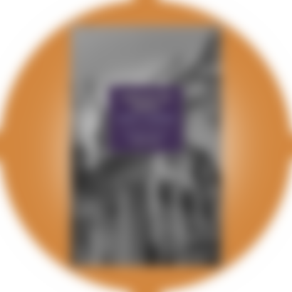 "Lives of the Saints" Novel by Nancy Lemann: Recommended - Air Mail