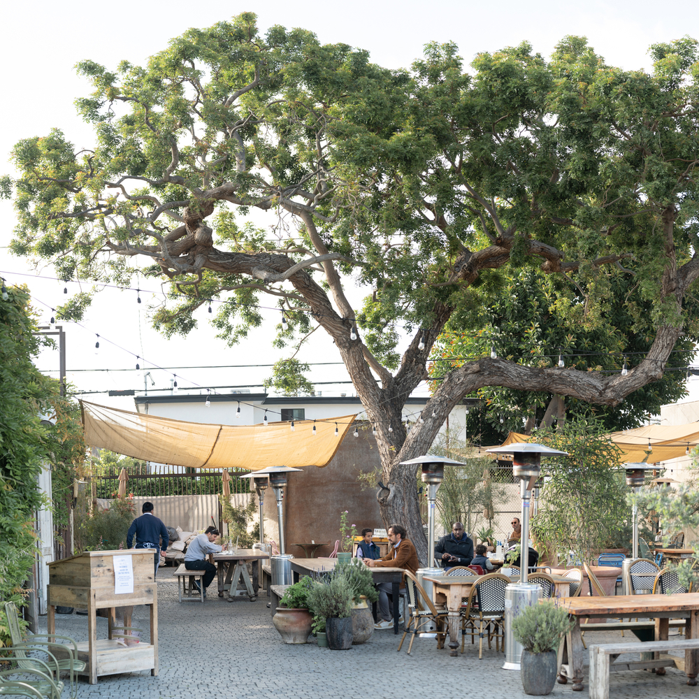 Gjusta Bakery and Café in Los Angeles: Arts Intel Report
