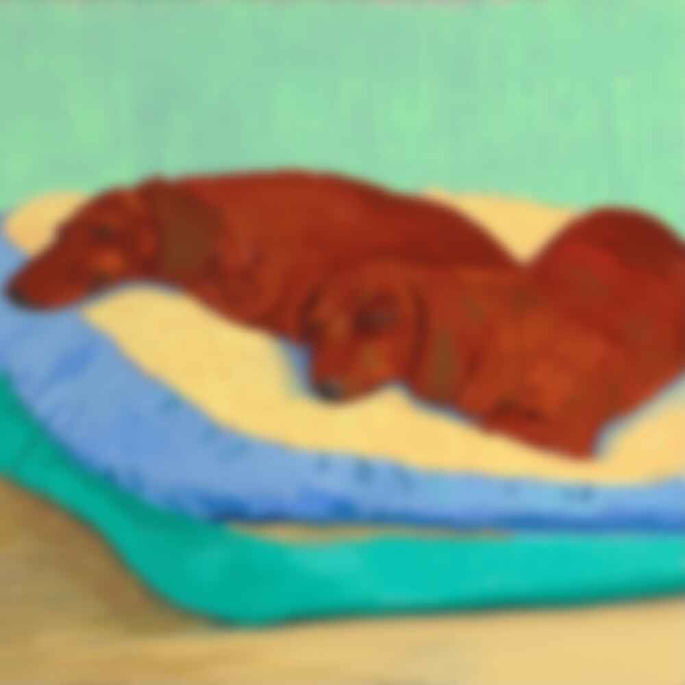 Portraits of Dogs at the Wallace Collection in London: Arts Intel Report